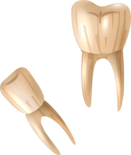 Teeth Vector Images (over 140,000)
