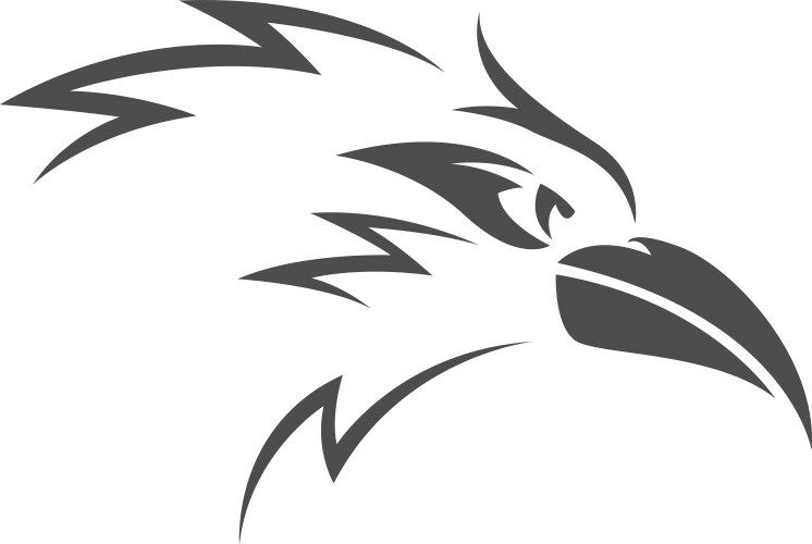 Roadrunner Vector Images (over 180)
