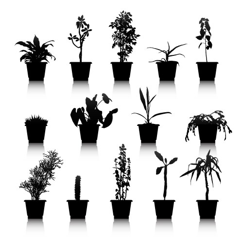 Gardening plants growing bold black silhouette Vector Image