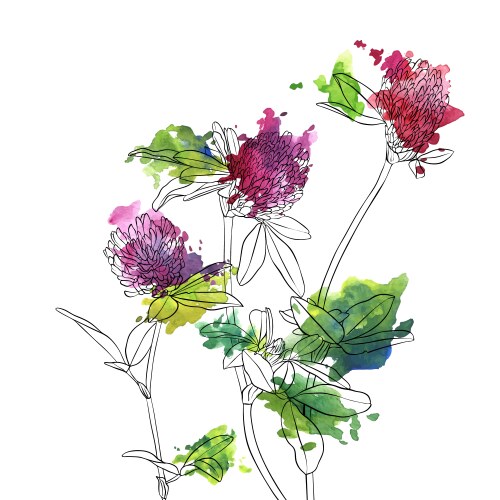 Clover Line Drawing Vector Images (over 1,400)