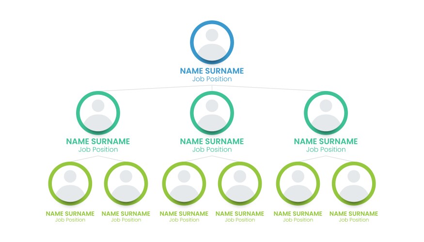 Organizational company structure template design Vector Image
