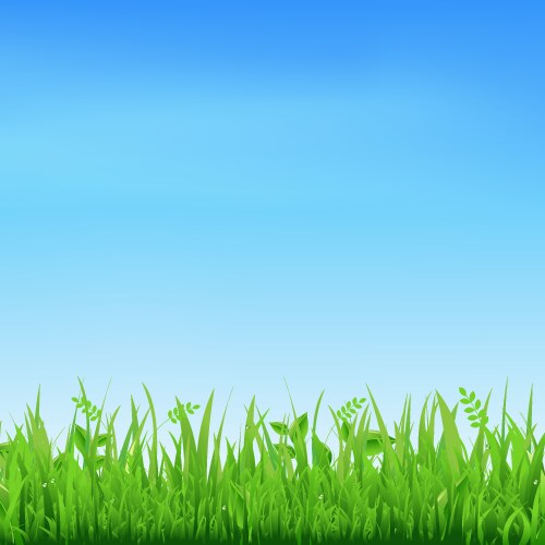 Spring grass seamless border floral Royalty Free Vector