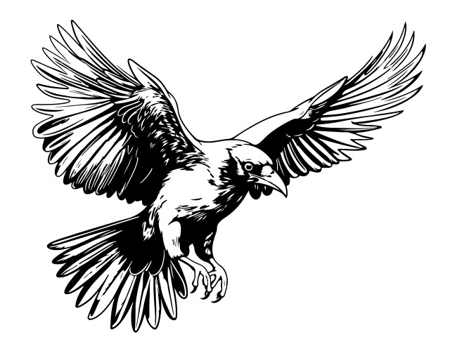 Raven crow hand drawn sketch Royalty Free Vector Image