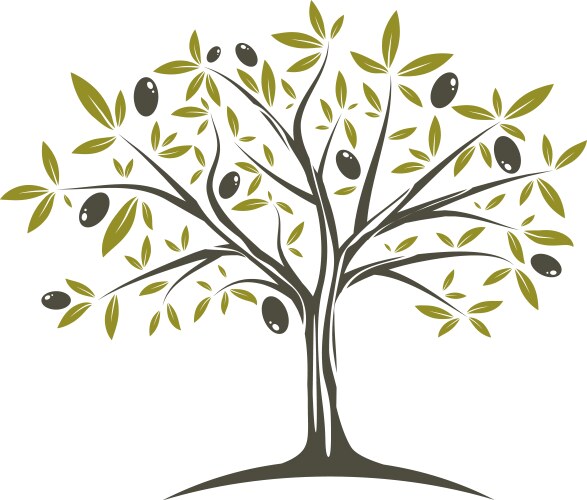 Olive Tree Vector Images (over 230,000)