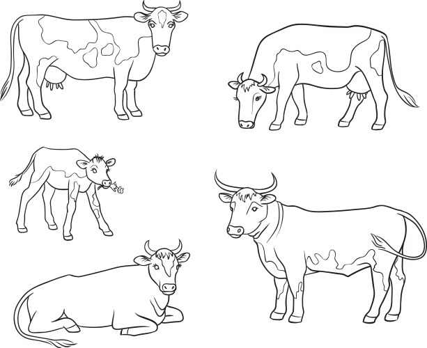 Cow Outline Vector Images (over 23,000)