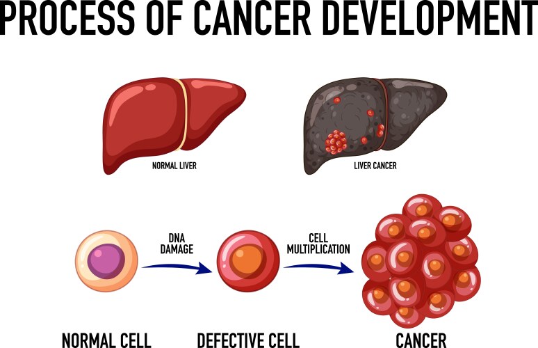 Cancer Cell Cartoon Vector Images (over 2,400)