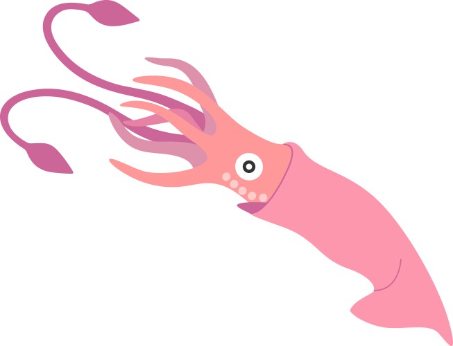 Cartoon squid aquatic calamari animal Royalty Free Vector
