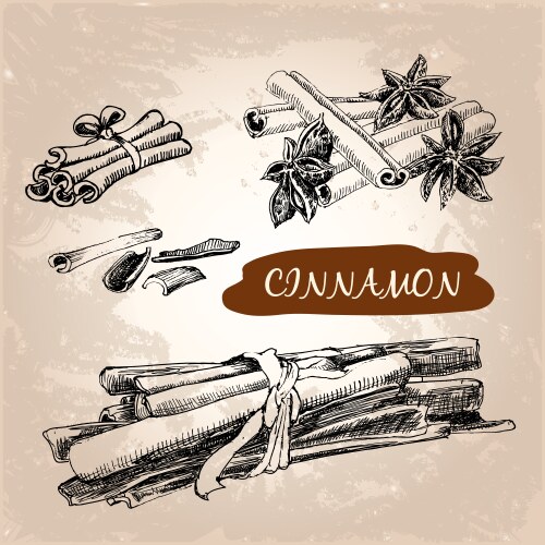 Cinnamon Vector Images (over 21,000)