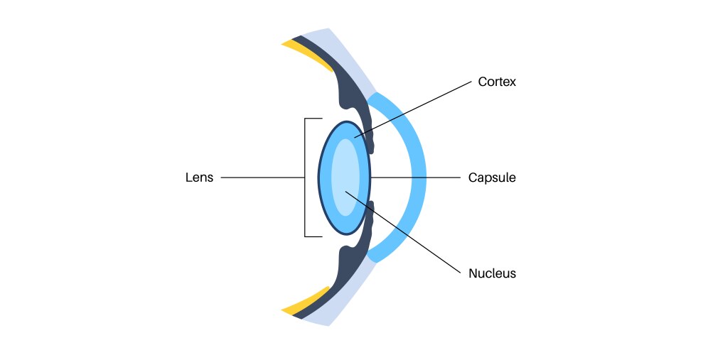 Eye Shapes Vector Images (over 70,000)