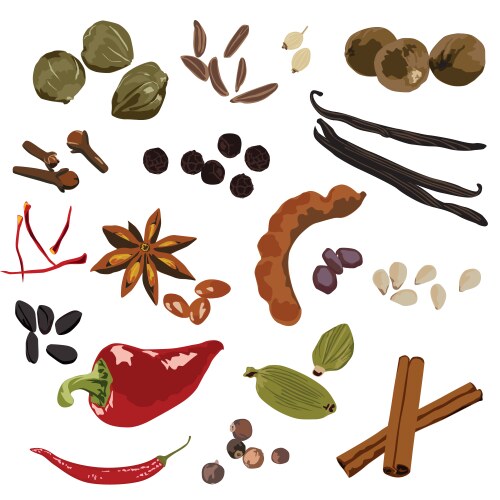 Indian Spices Vector Images (over 6,400)