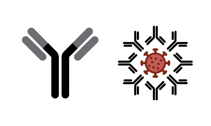 Antibody Vector Images (over 3,900)