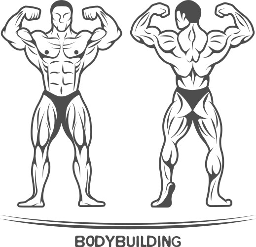Body builder Royalty Free Vector Image - VectorStock