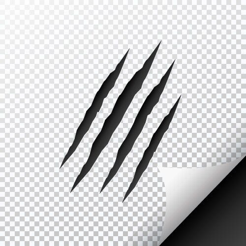 Animal Claws Vector Images (over 35,000)