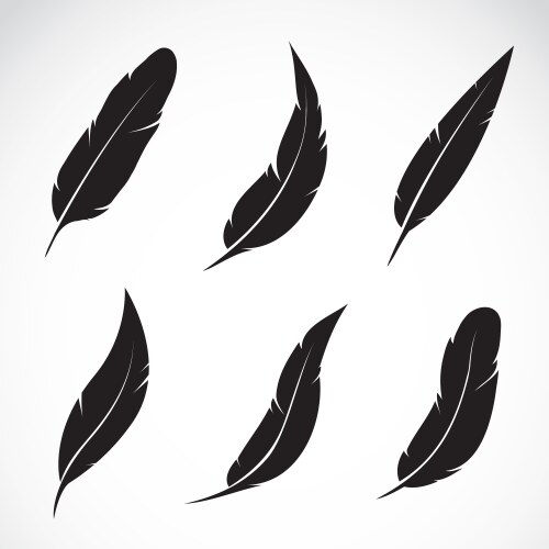 Feather Vector Images (over 290,000)