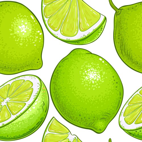 Lime branches pattern on color background Vector Image