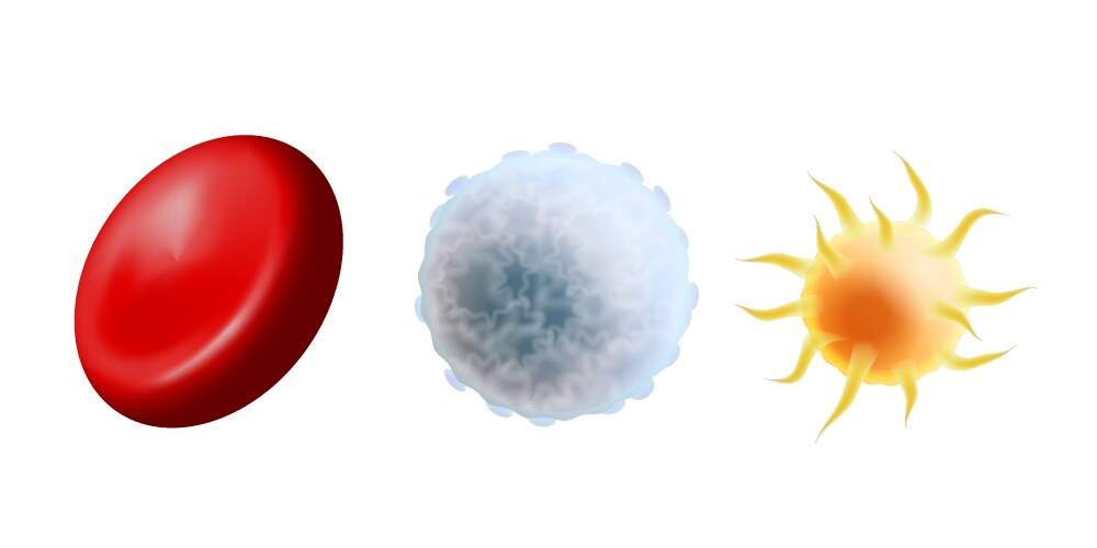 Blood Platelet Vector Images (over 1,900)