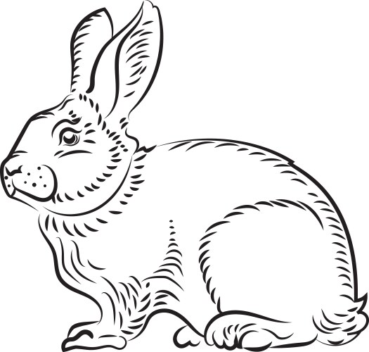 Rabbit Vector Images (over 190,000)