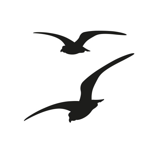 Seagulls icons Royalty Free Vector Image - VectorStock