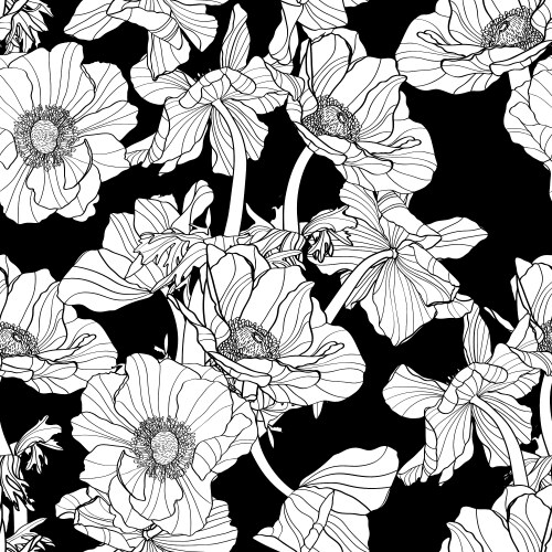 Anemone Vector Images (over 9,200)