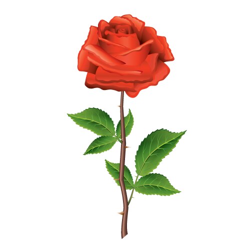 Rose Vector Images (over 290,000)