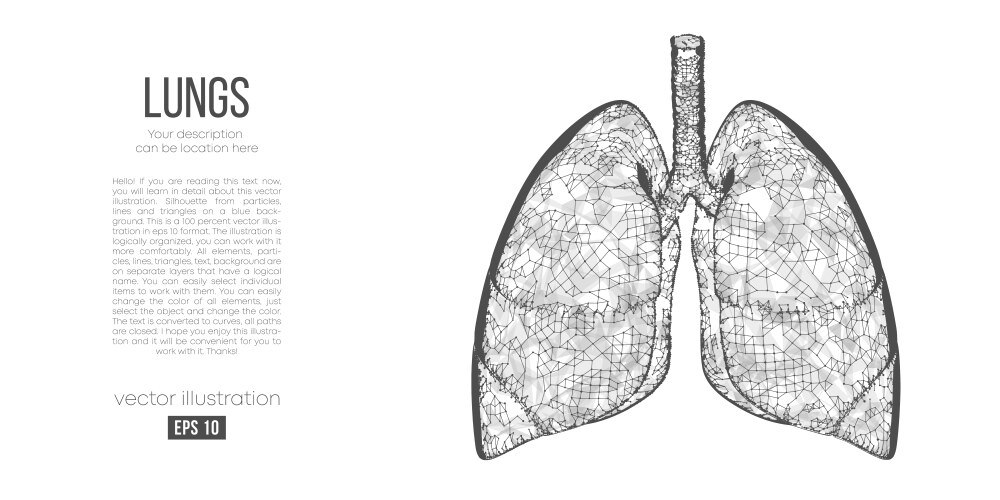 Lungs Vector Images (over 51,000)