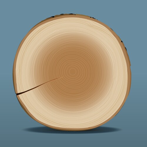 Tree Cross Section Vector Images (over 1,900)