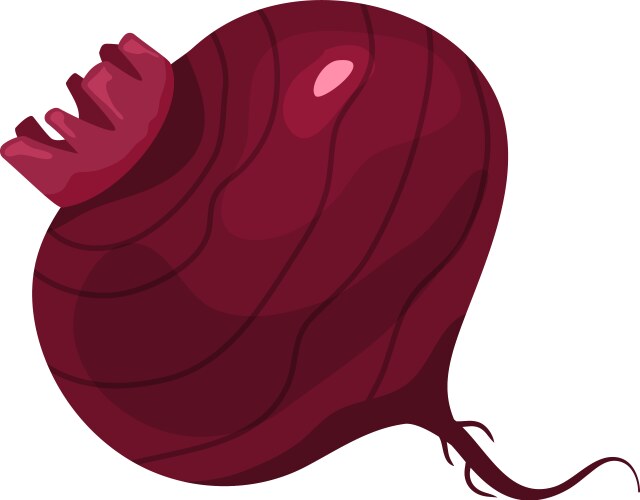 Beet Vector Images (over 16,000)