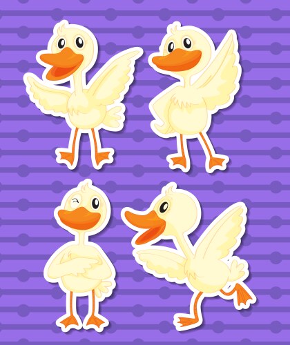 Duck Walk Vector Images (over 1,400)