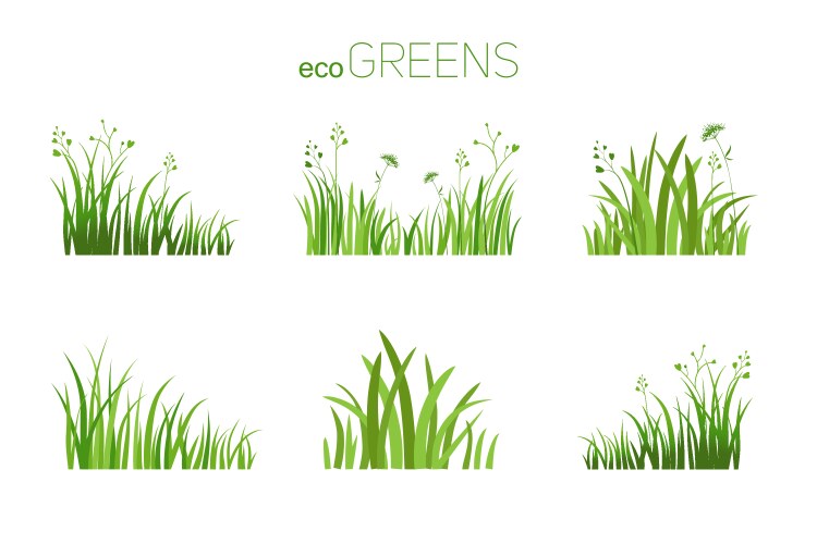Green tall grass icon Royalty Free Vector Image