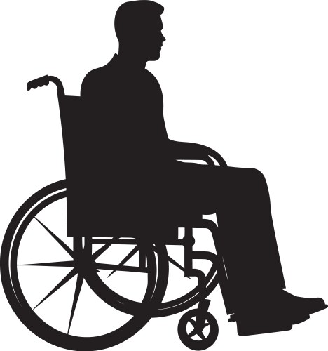Empowerment drive wheelchair diverse mobility Vector Image