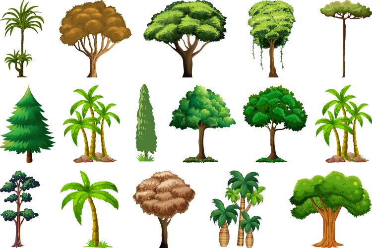 Tree Royalty Free Vector Image - VectorStock