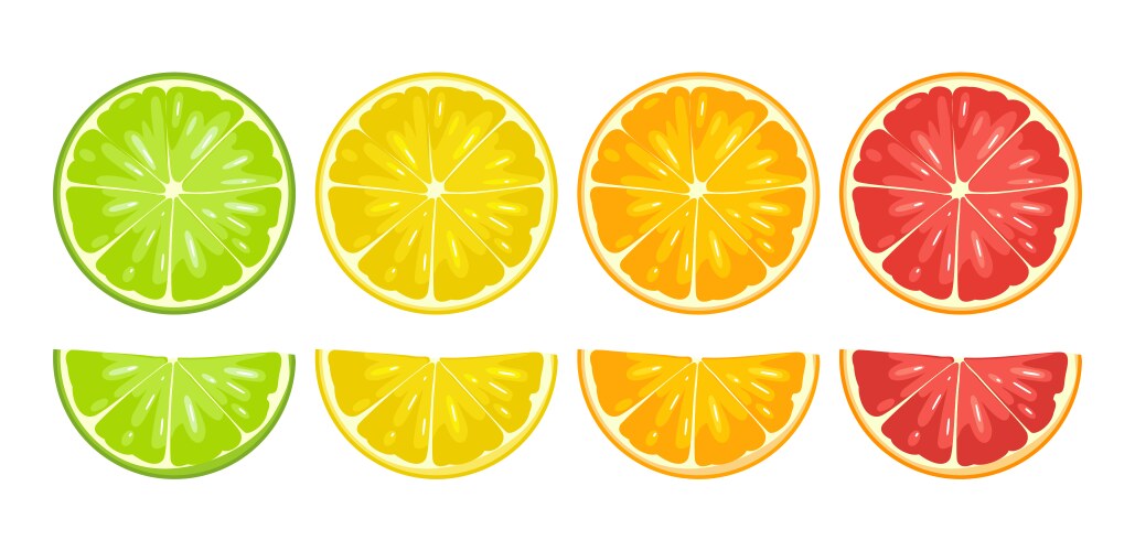 Lime slice green lemon Royalty Free Vector Image