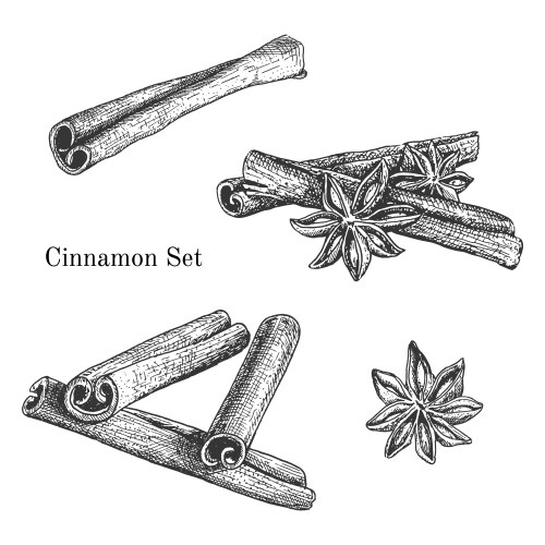 Cinnamon Vector Images (over 21,000)