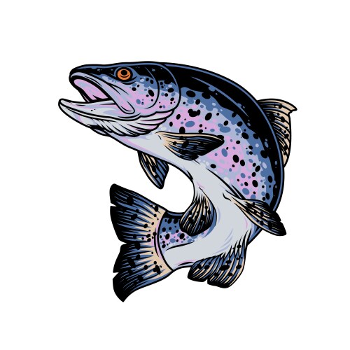 Trout Vector Images (over 13,000)