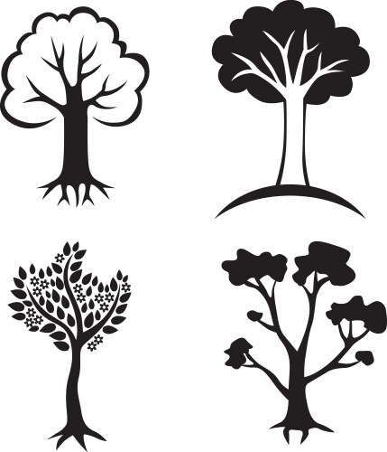 Cherry Tree Drawing Vector Images (over 4,800)