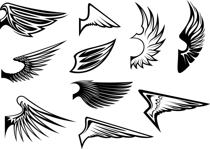 Wings Vector Images (over 420,000)