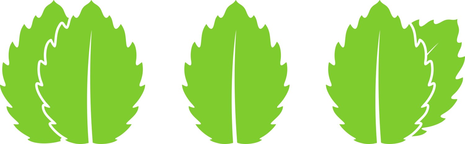 Mint Vector Images (over 58,000)