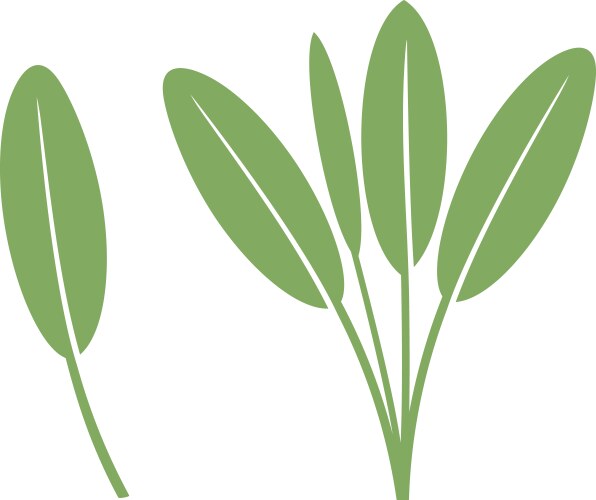 Gradient color triangles and circles on white Vector Image