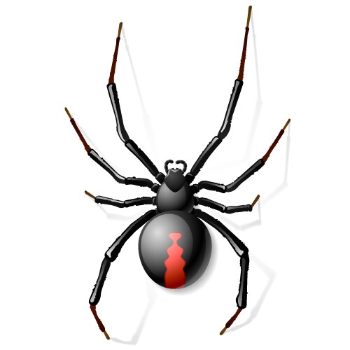 Spider Vector Images (over 84,000)