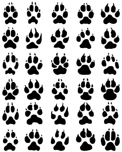 Dog Paw Print Outline Vector Images (over 15,000)