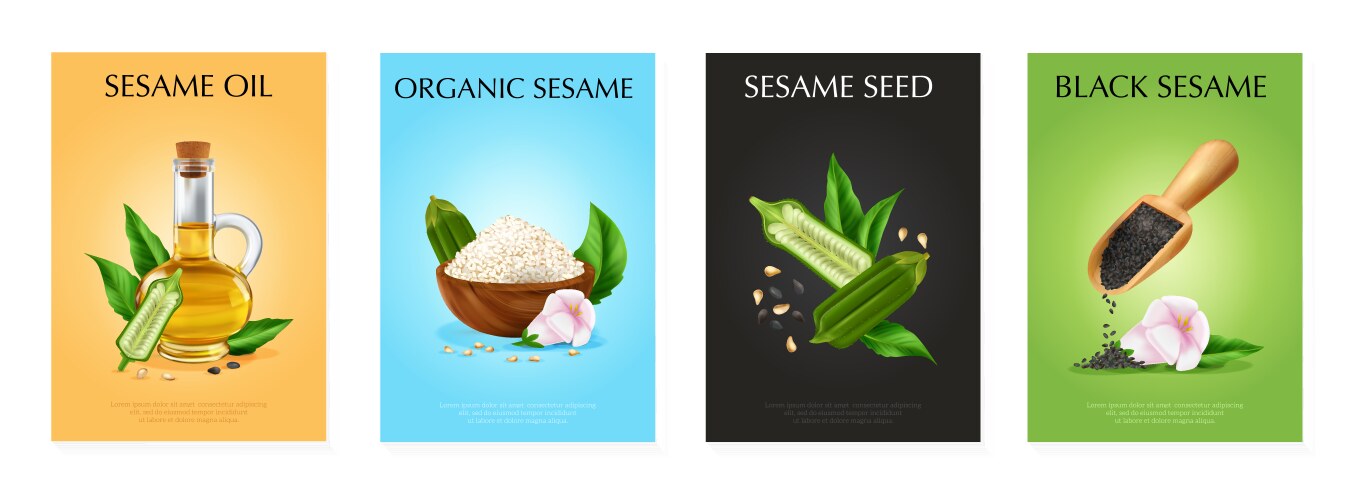 Sesame Royalty Free Vector Image - VectorStock