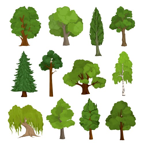 Cartoon trees set Royalty Free Vector Image - VectorStock