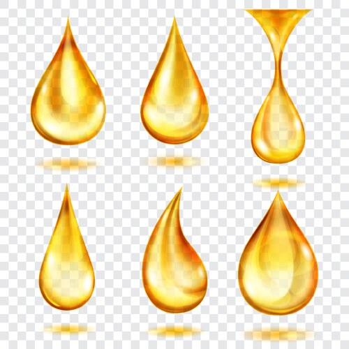 Realistic oil drops shine yellow droplets set Vector Image