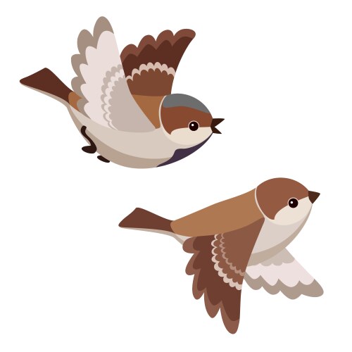 Sparrow Vector Images (over 13,000)
