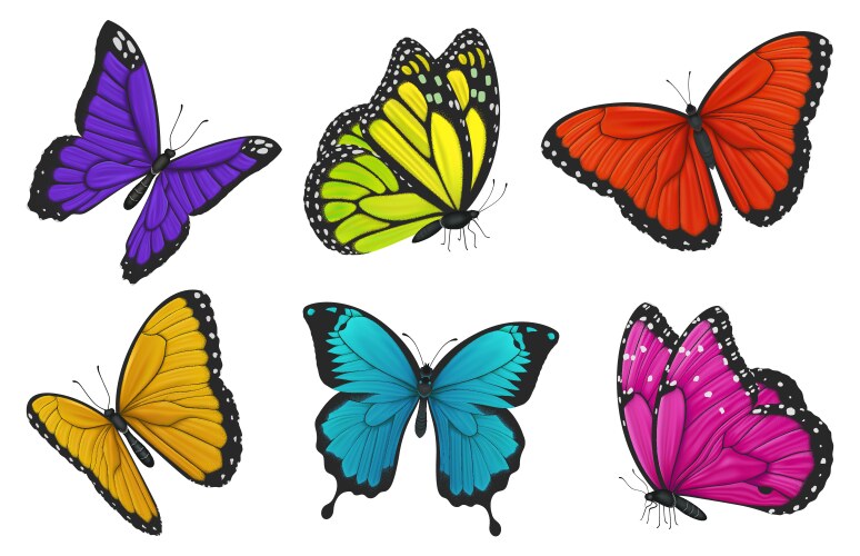 Butterfly Vector Images (over 190,000)