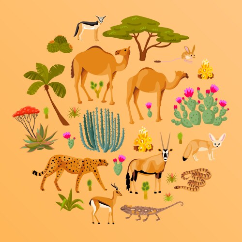 Desert Animals Cartoon Set Royalty Free Vector Image