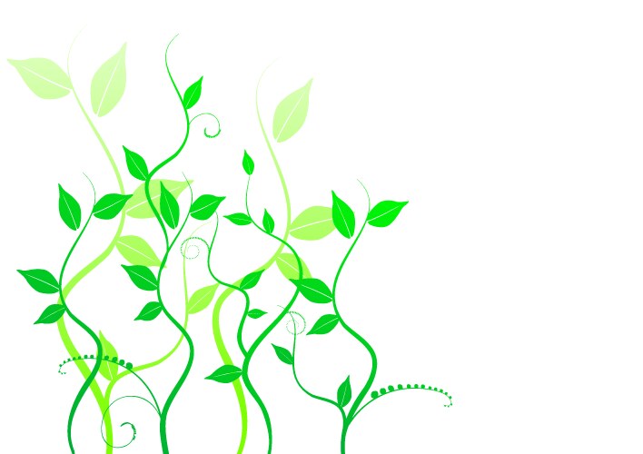 Vine Vector Images (over 80,000)