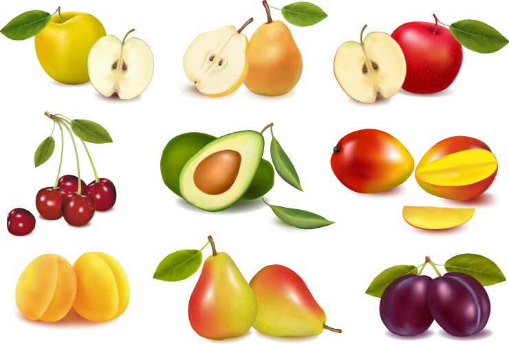 Group with different fruits Royalty Free Vector Image
