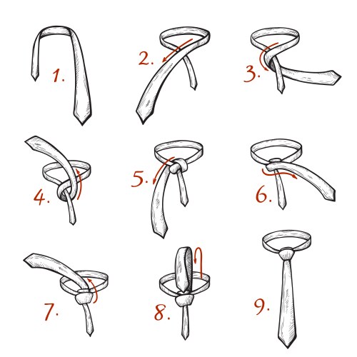 Books Steps Vector Images (over 4,800)