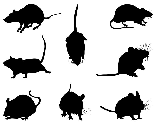 Cartoon Mouse Outline Vector Images (over 4,900)